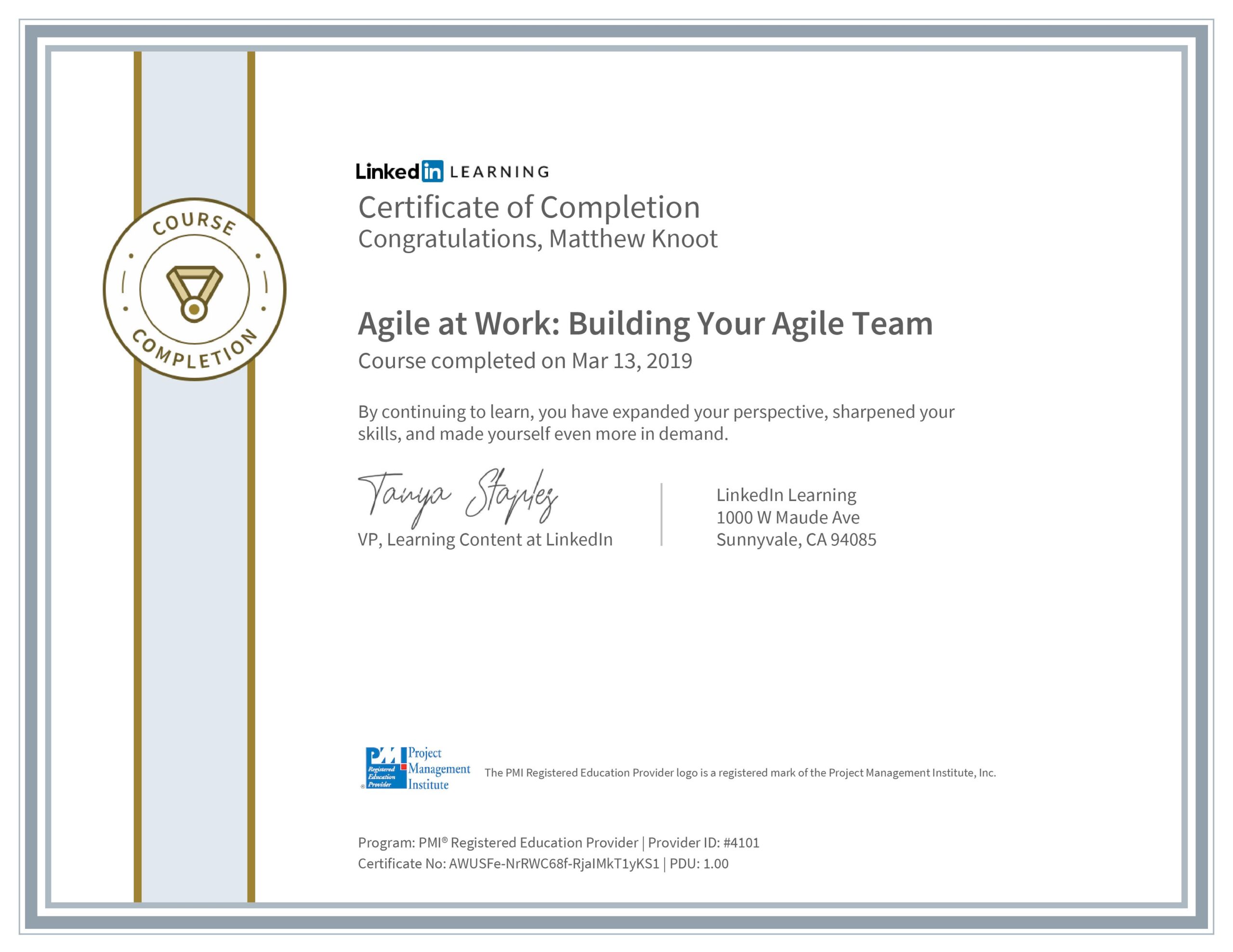 Agile at Work: Building Your Agile Team - MATTHEW KNOOT